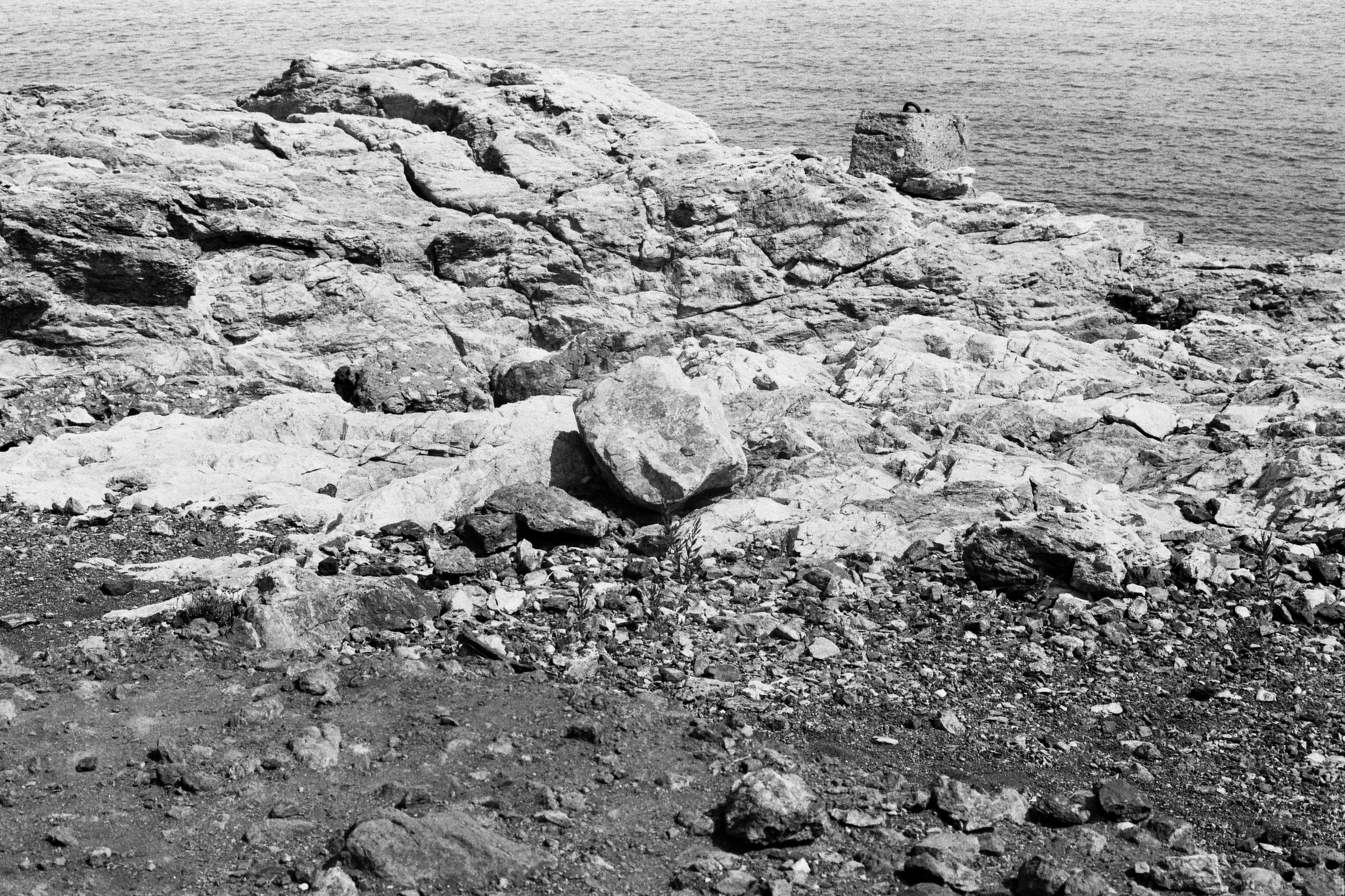 víboras loucas - by Lara Galvão - boletim babel