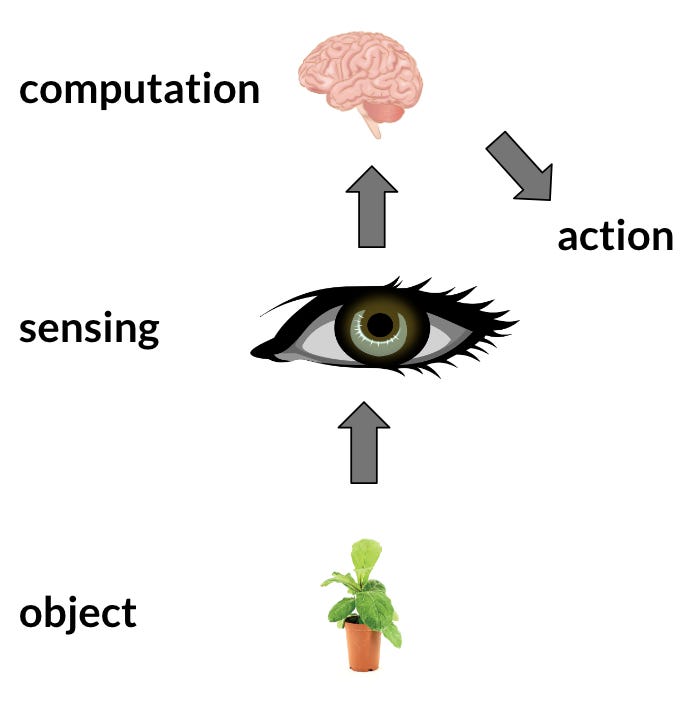 Predictive Processes and Tools - by Daniel Susser