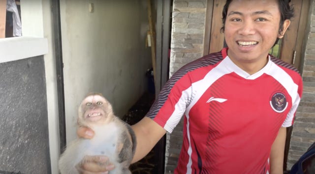 Treerat: A Deep Dive in the “Monkey Hate” Phenomena