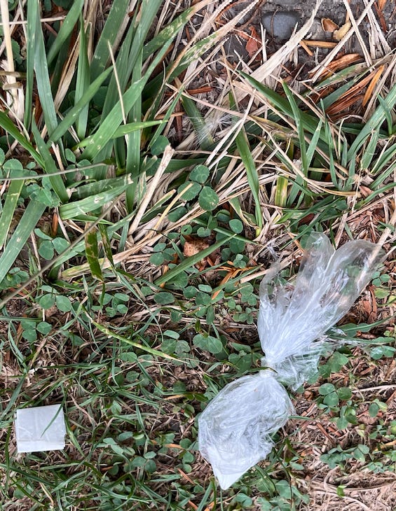 Drugs Found on Sewickley Sidewalk - by Matthew Doebler