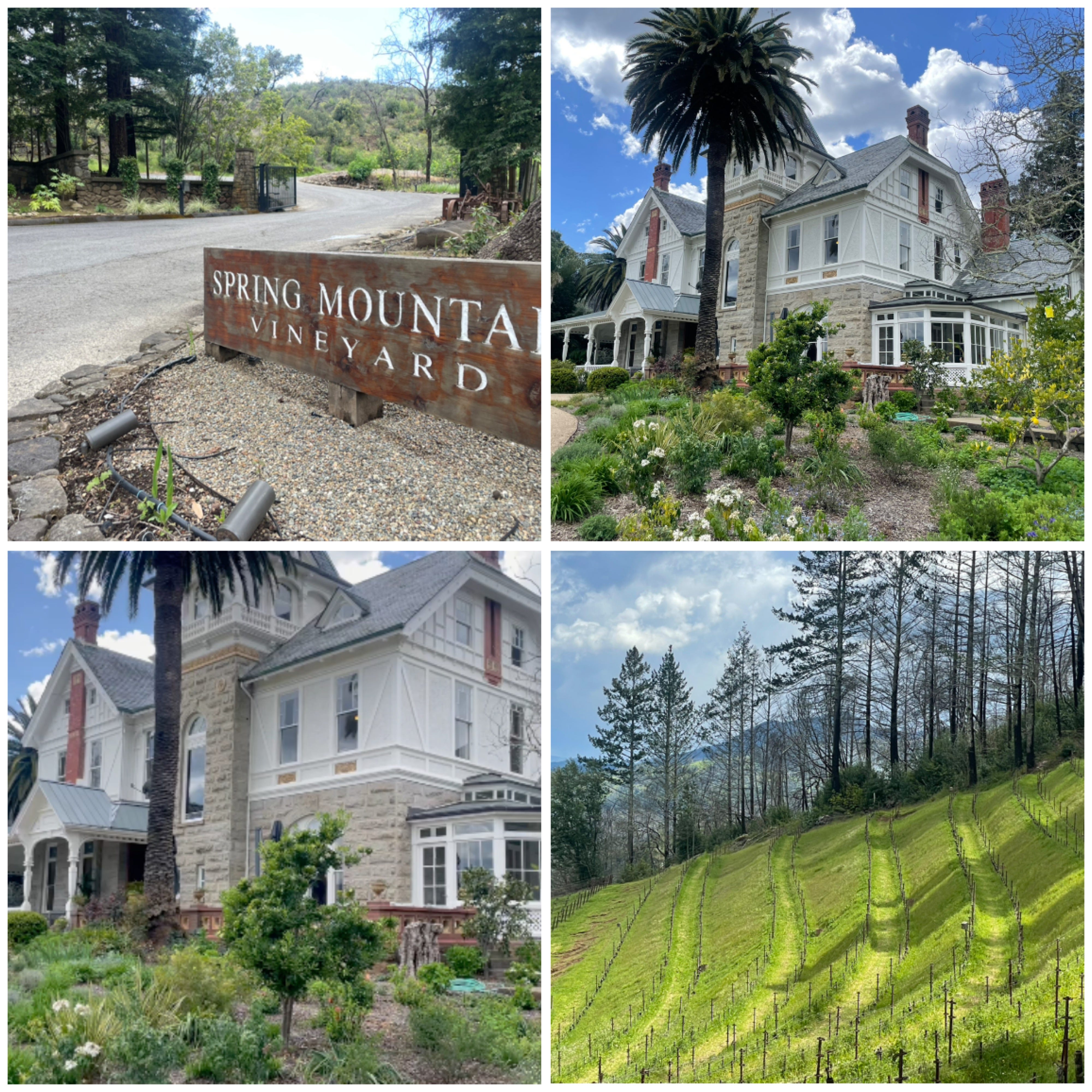 A Conversation with Spring Mountain Vineyards Estate Director Garrett ...