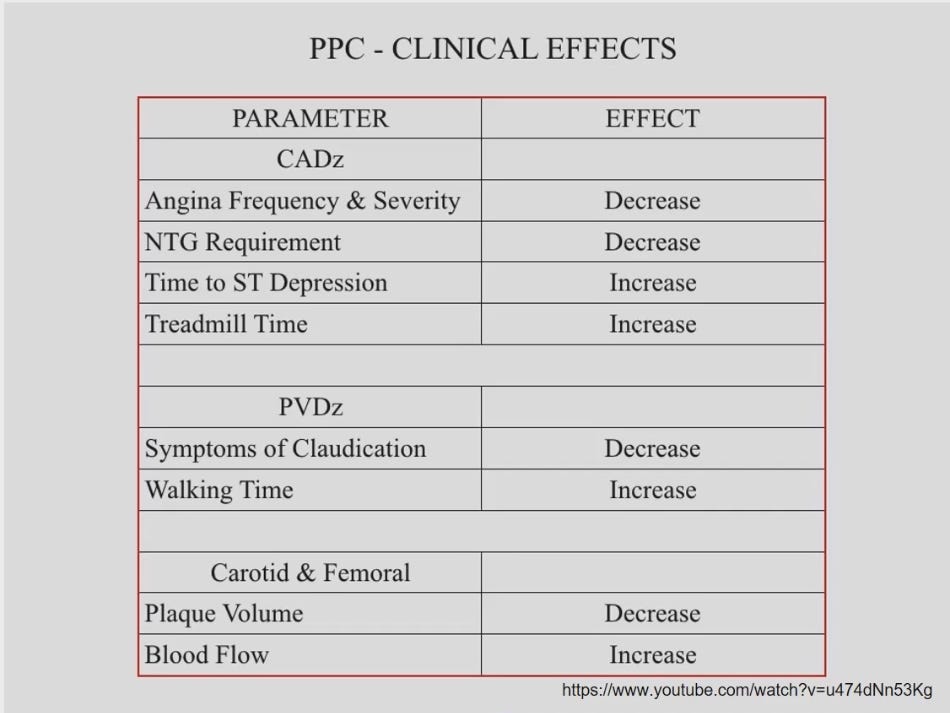 Reversing and Preventing Vascular Plaque Buildup