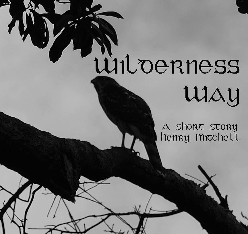 Wilderness Way- - by Henry Mitchell - Drovers Gap