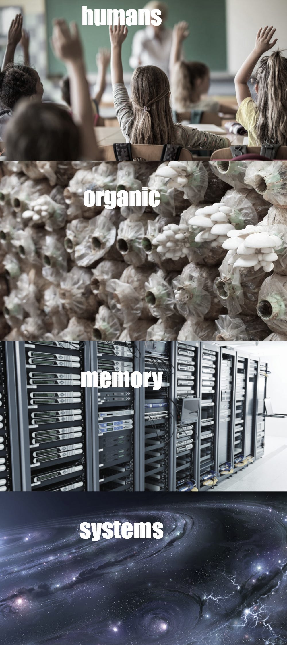 NEUROLOGISTS - Thorsten J. Pattberg, PhD