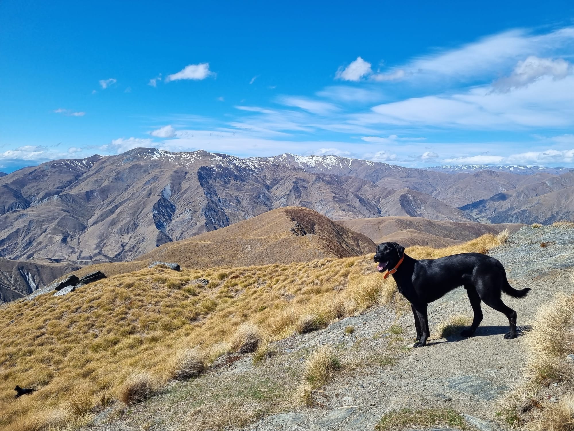Mirrors and October - by Emmy St. Pierre - Cliff Hanging