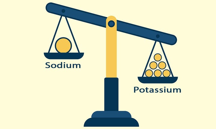 The Sodium-Potassium Balance - David Avocado Wolfe