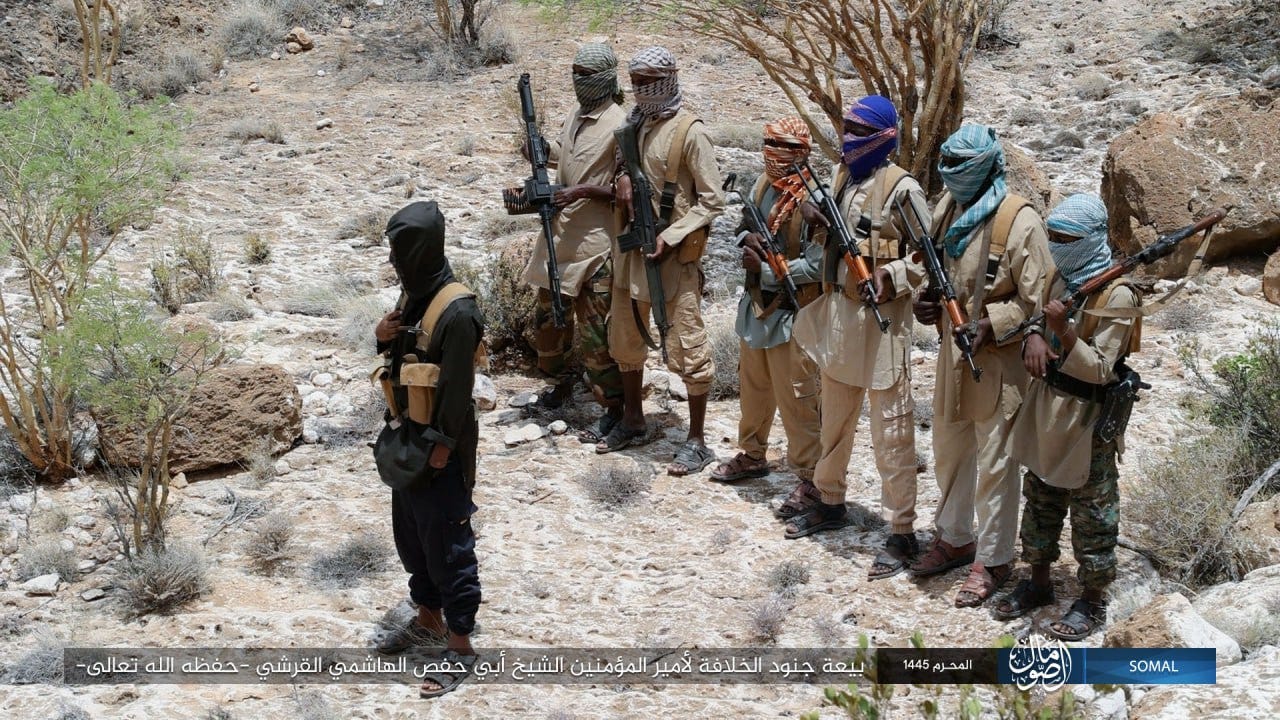 Islamic State Somalia's Weapons Arsenal - by War Noir