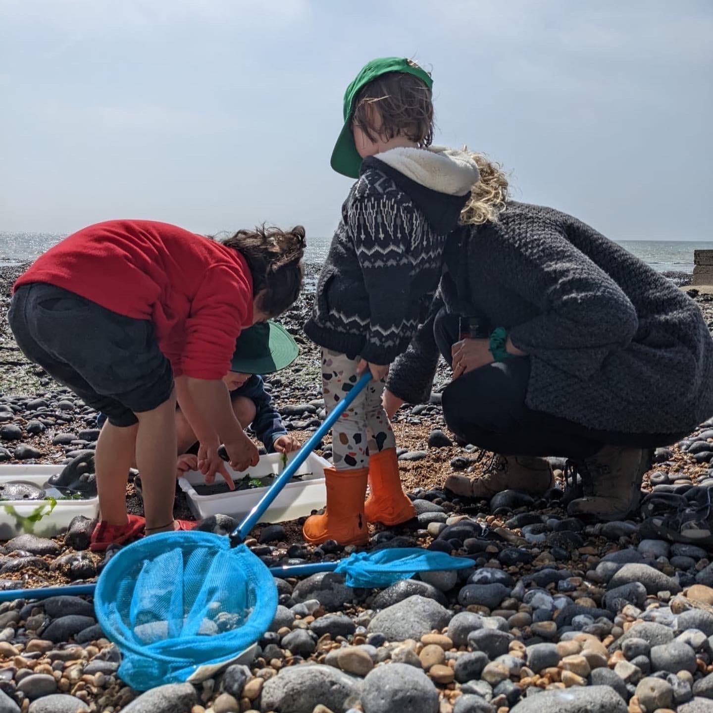 A Rockpool Explorer's Guide - by Rachel Stevens