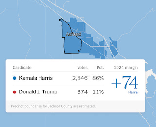 An extremely detailed map of the 2024 election