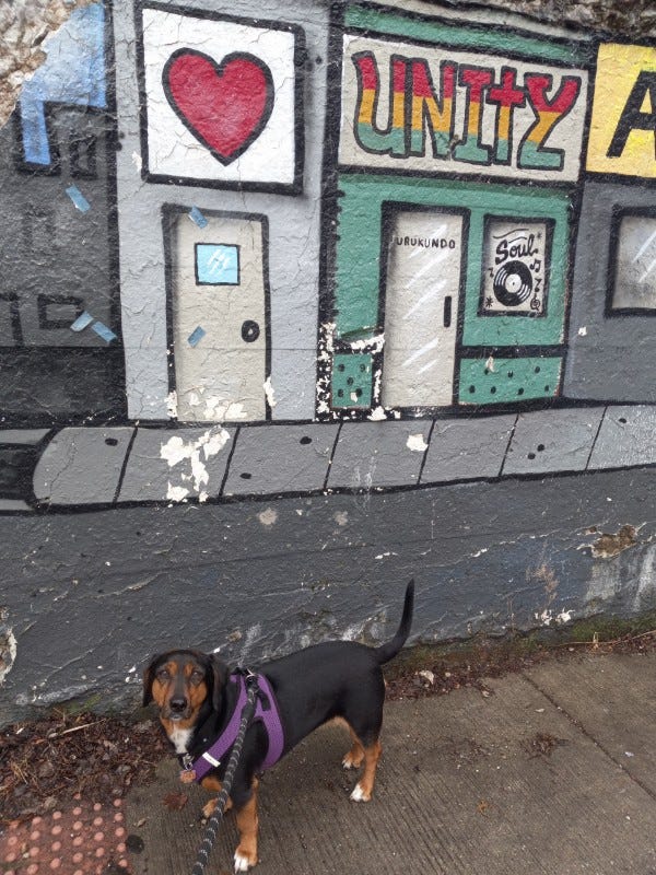 Black History: Augustus Nathaniel Lushington first Black vet