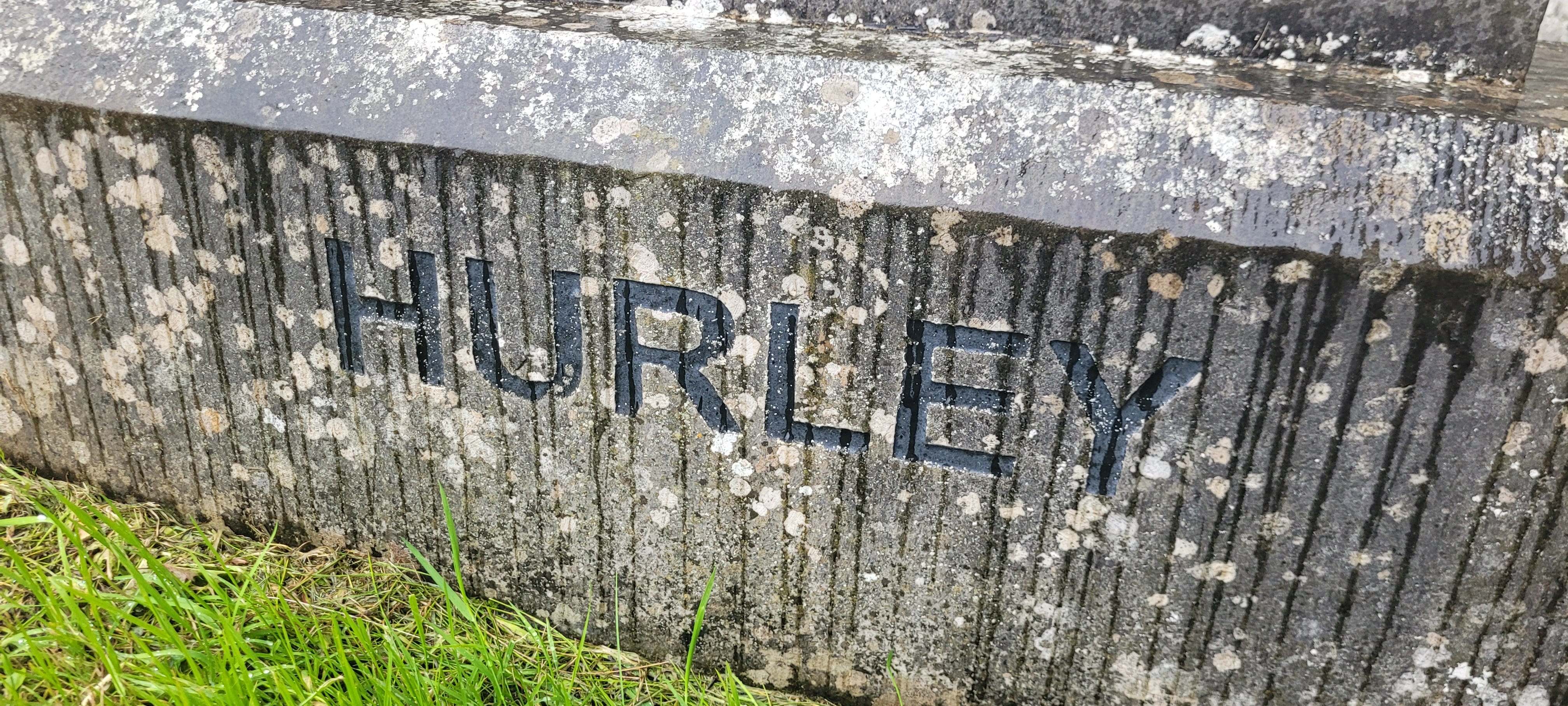 Pigs' heads and hurley sticks - by David Prater