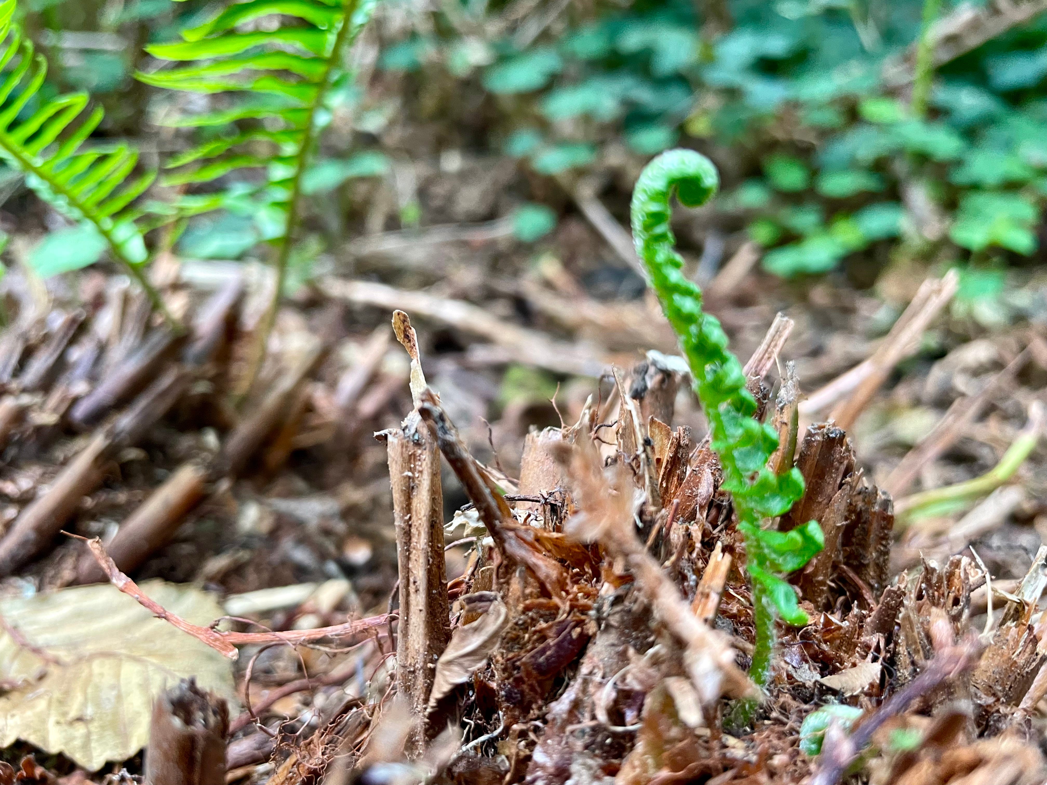 A Juxtaposition of Social Experiences - by Skyler Lemay