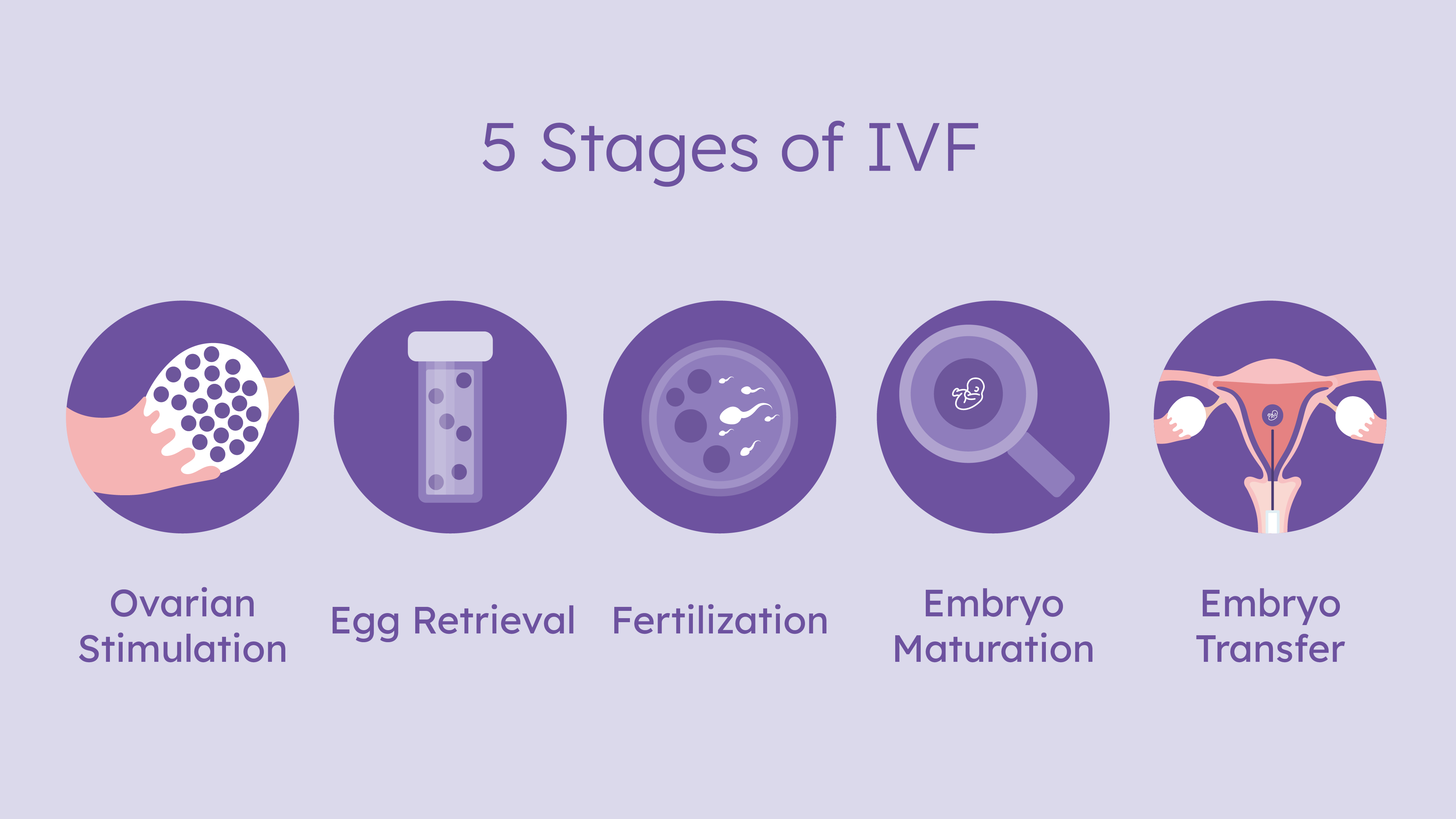 The Future of Baby-Making - Sonia's Substack