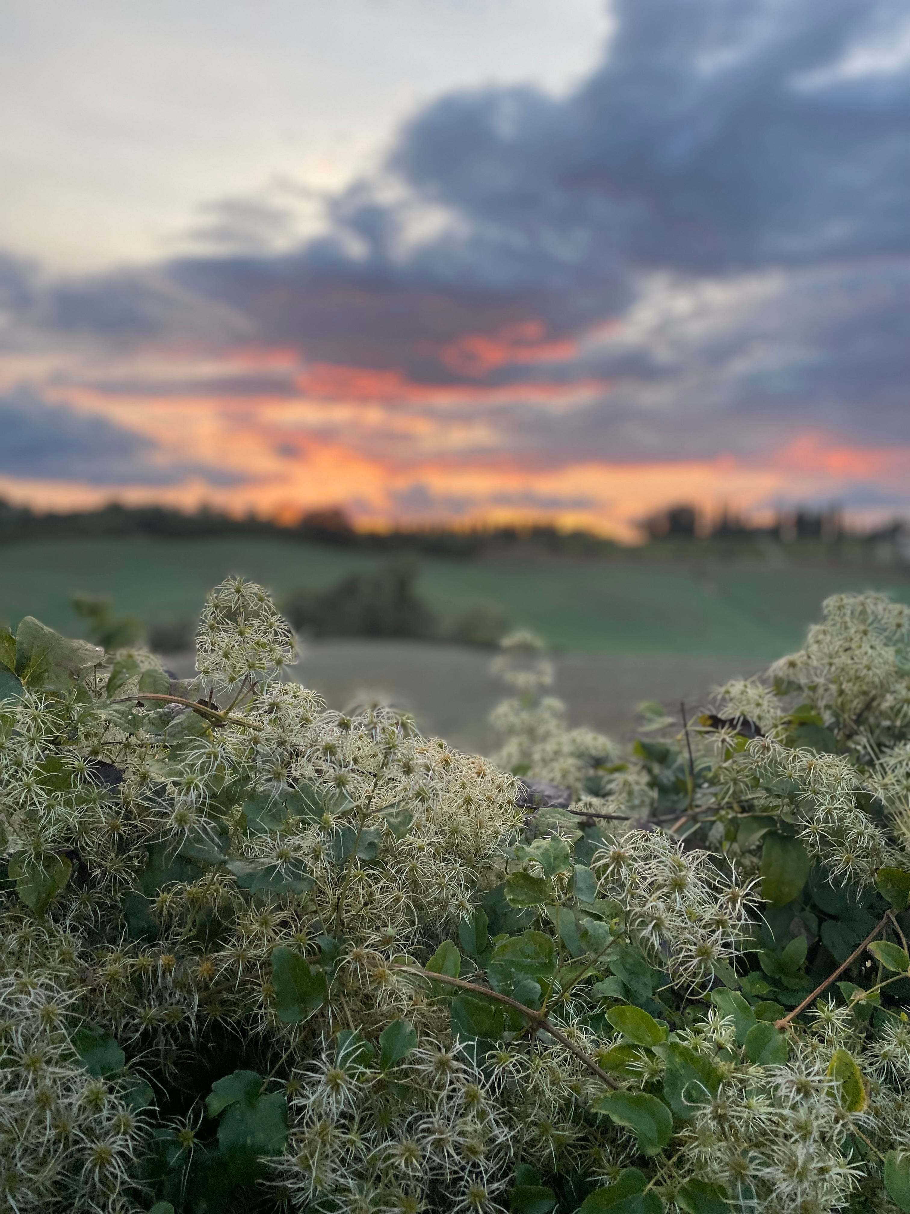 The Little Things Are The Big Things - by Amy Aitken