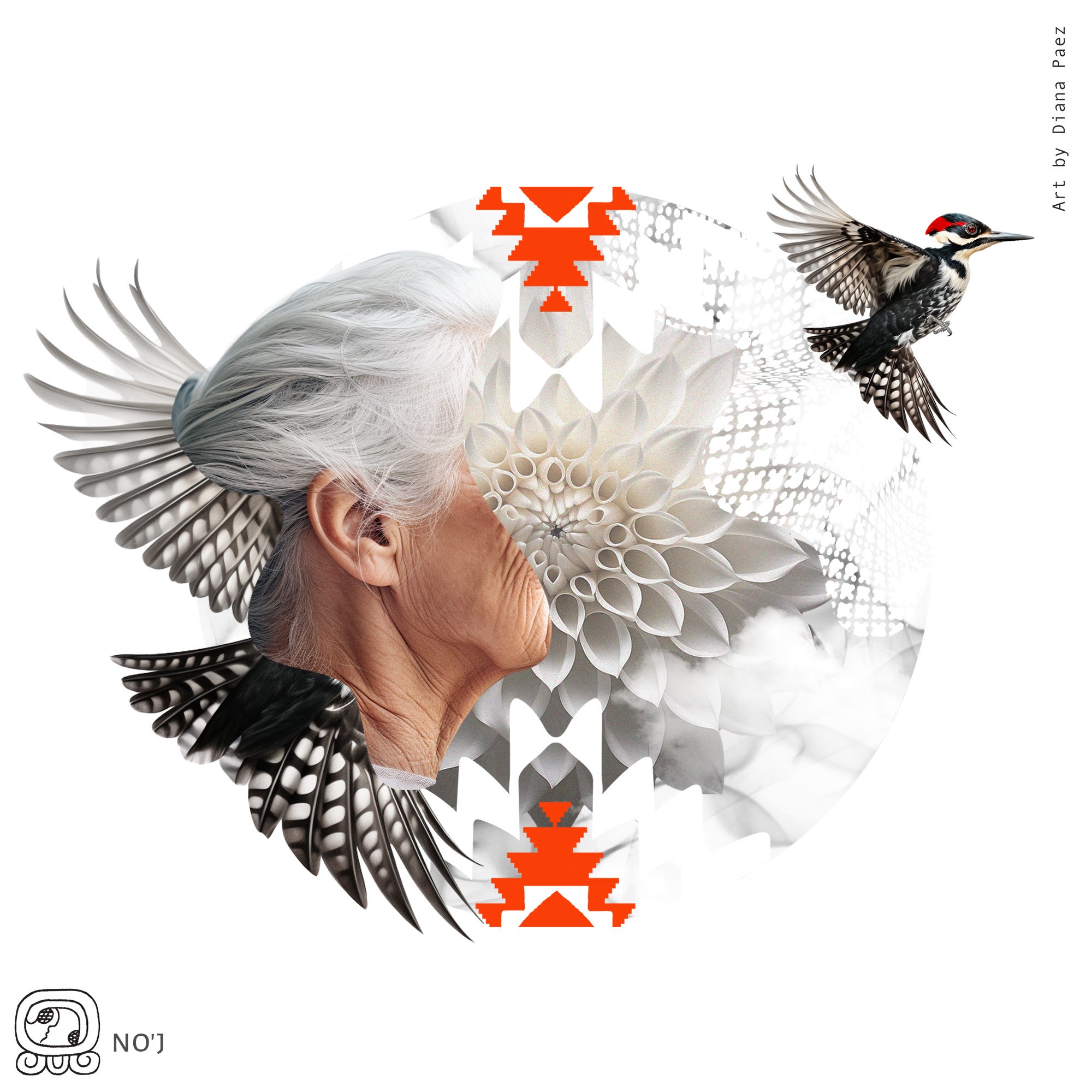 11 No'j: Tempering Many Plans, Ideas & Solutions