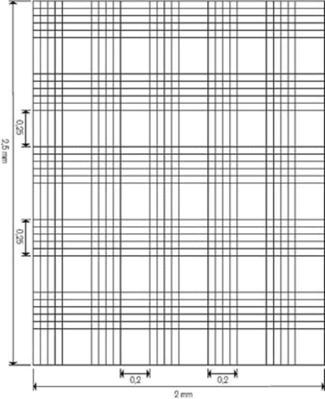 Le comptage cellulaire - by Louise - CultureBio