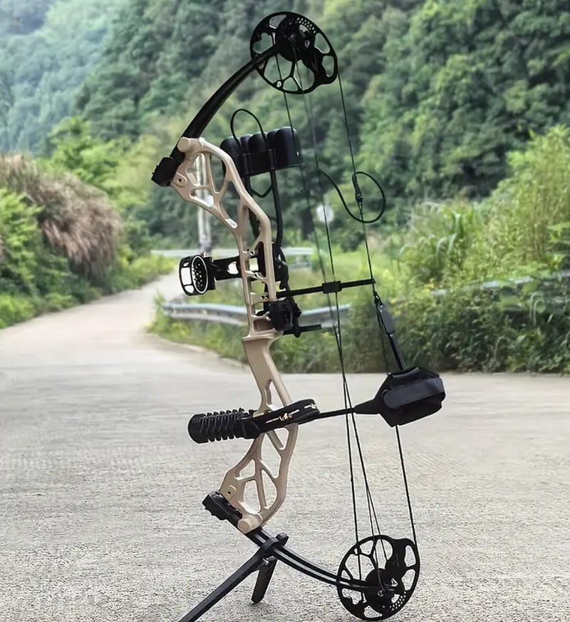Top 10 Compound Bows on Temu with Big-Brand Quality at Half the Price