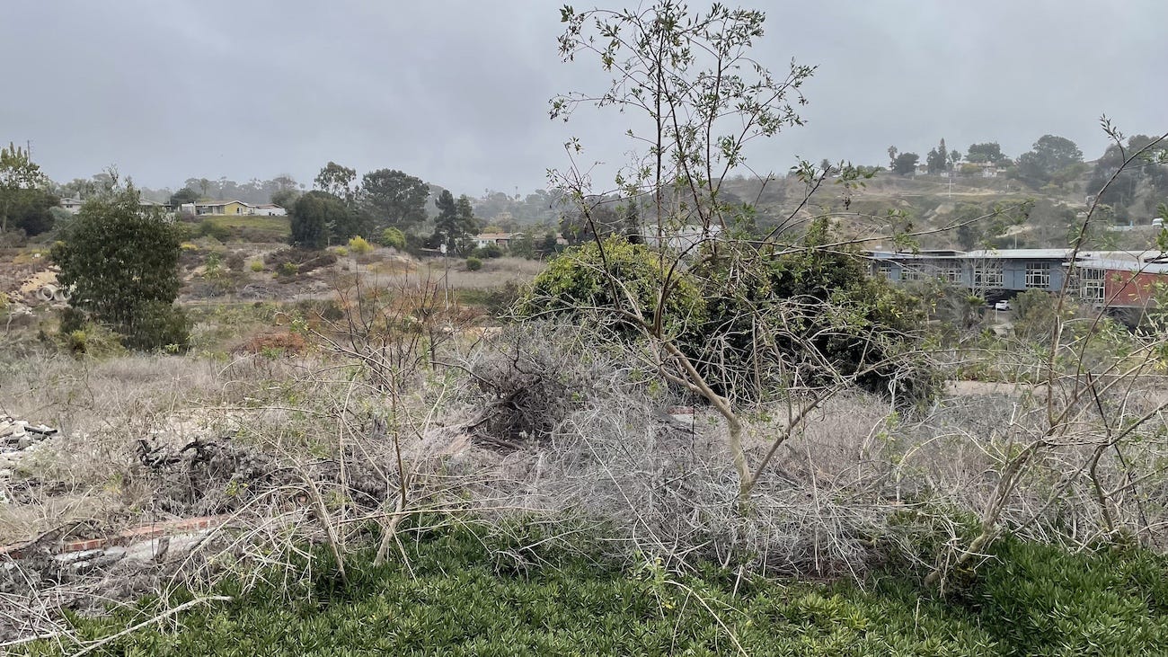 Controversial Quail Meadows approved amid heated debate