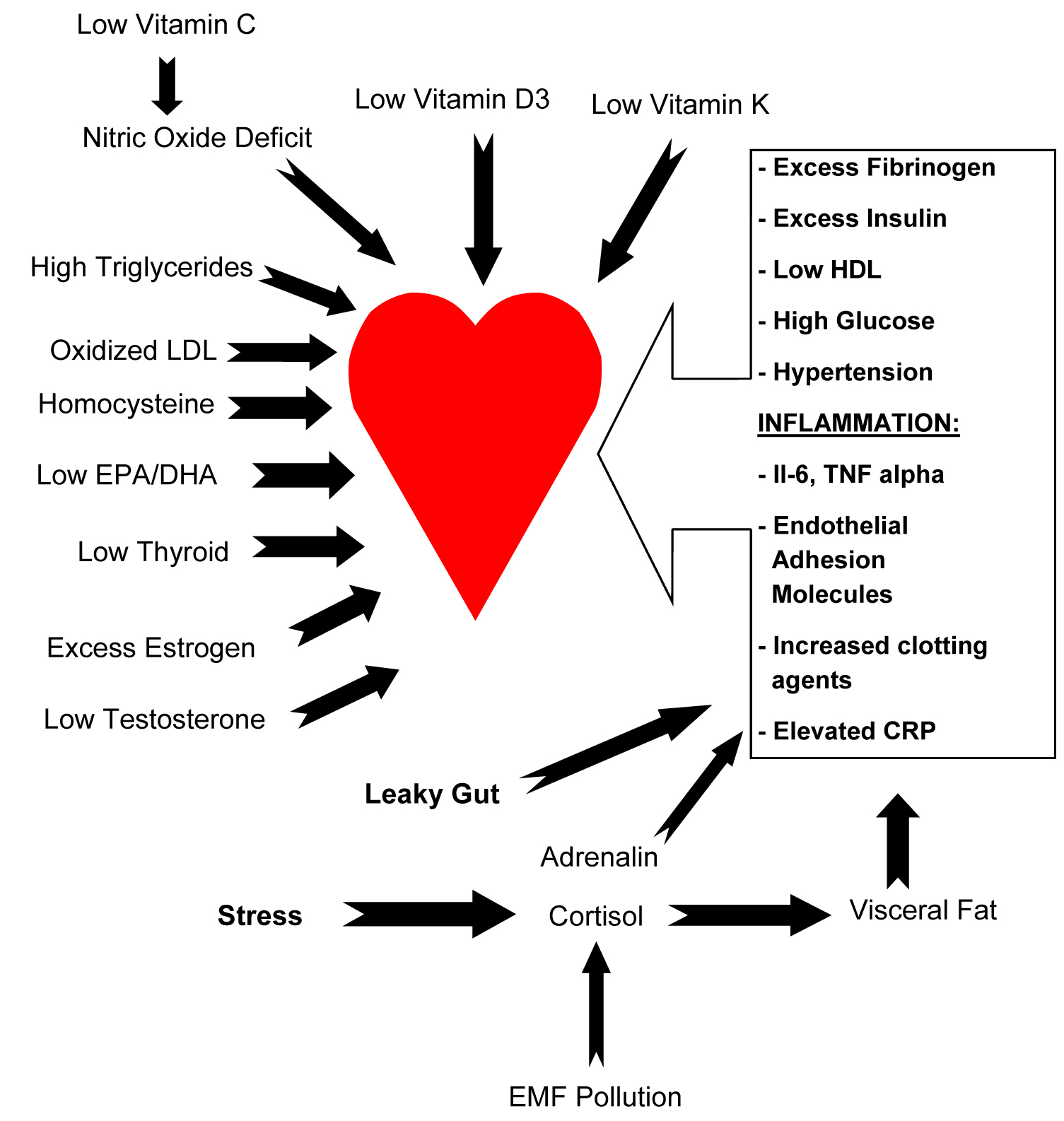 Reversing and Preventing Vascular Plaque Buildup