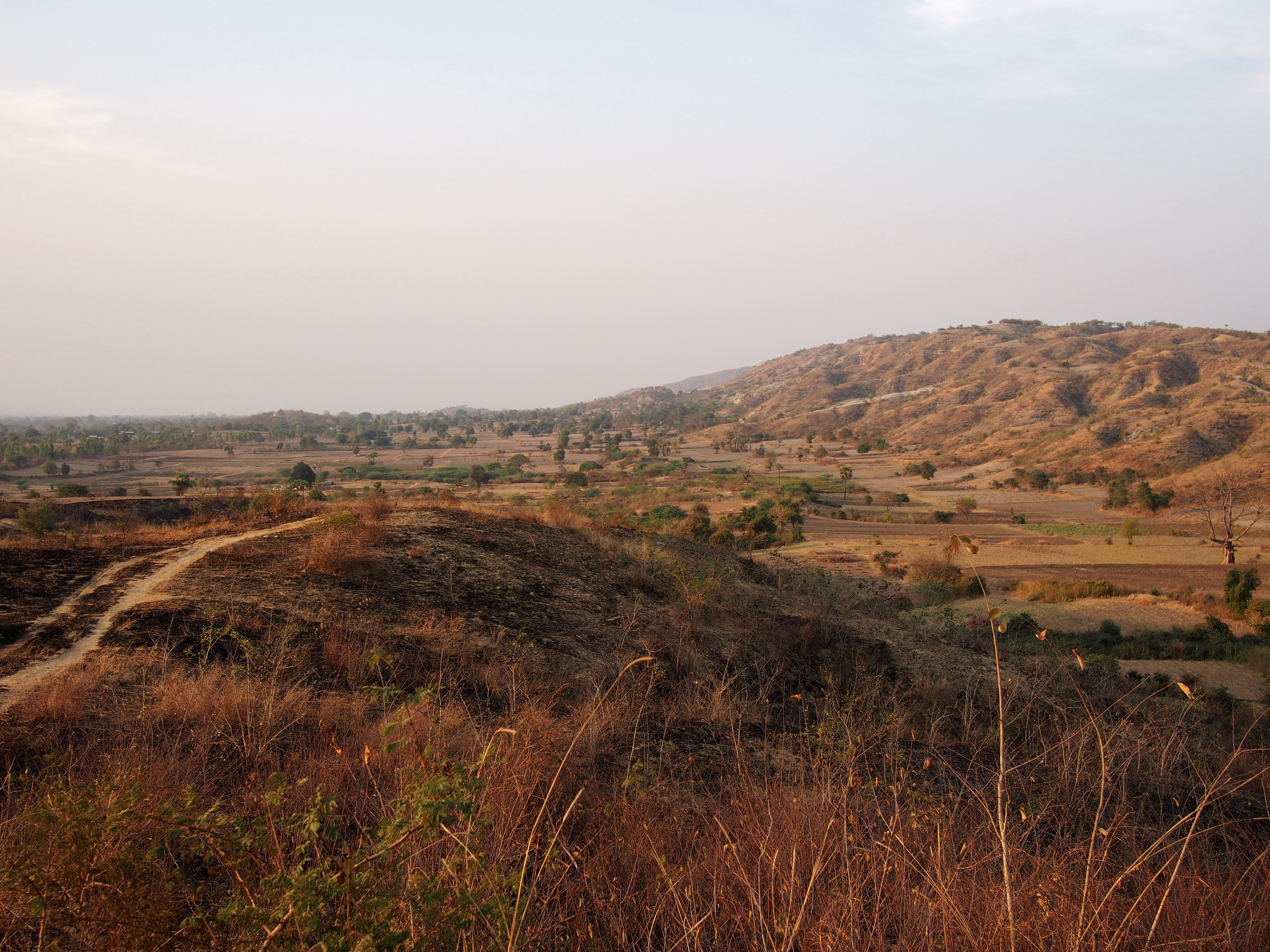Catastrophic M7.7 earthquake caused by rupture of Sagaing Fault in Myanmar
