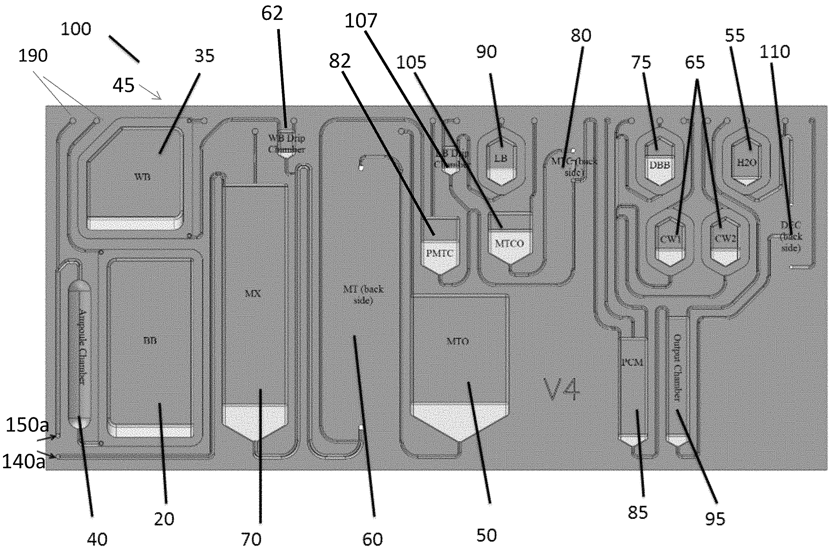 DNAe! - by Nava Whiteford - ASeq Newsletter