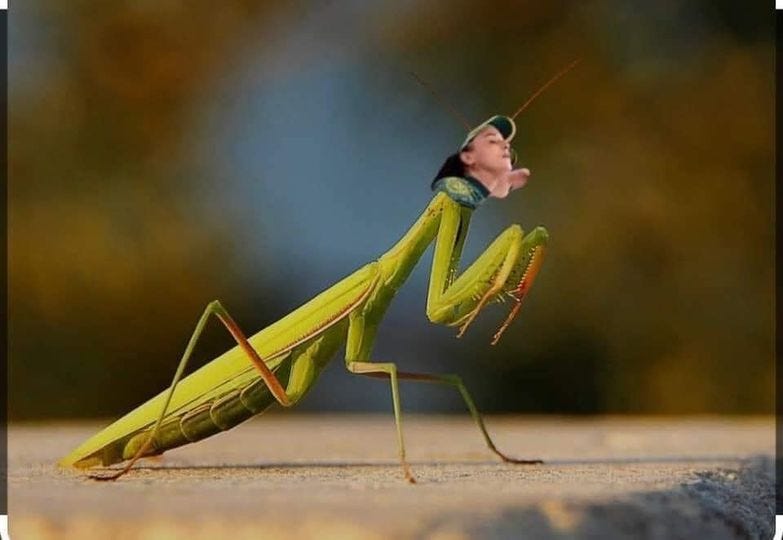 Australian Olympic Break-dancer 'RayGun' broke the internet.