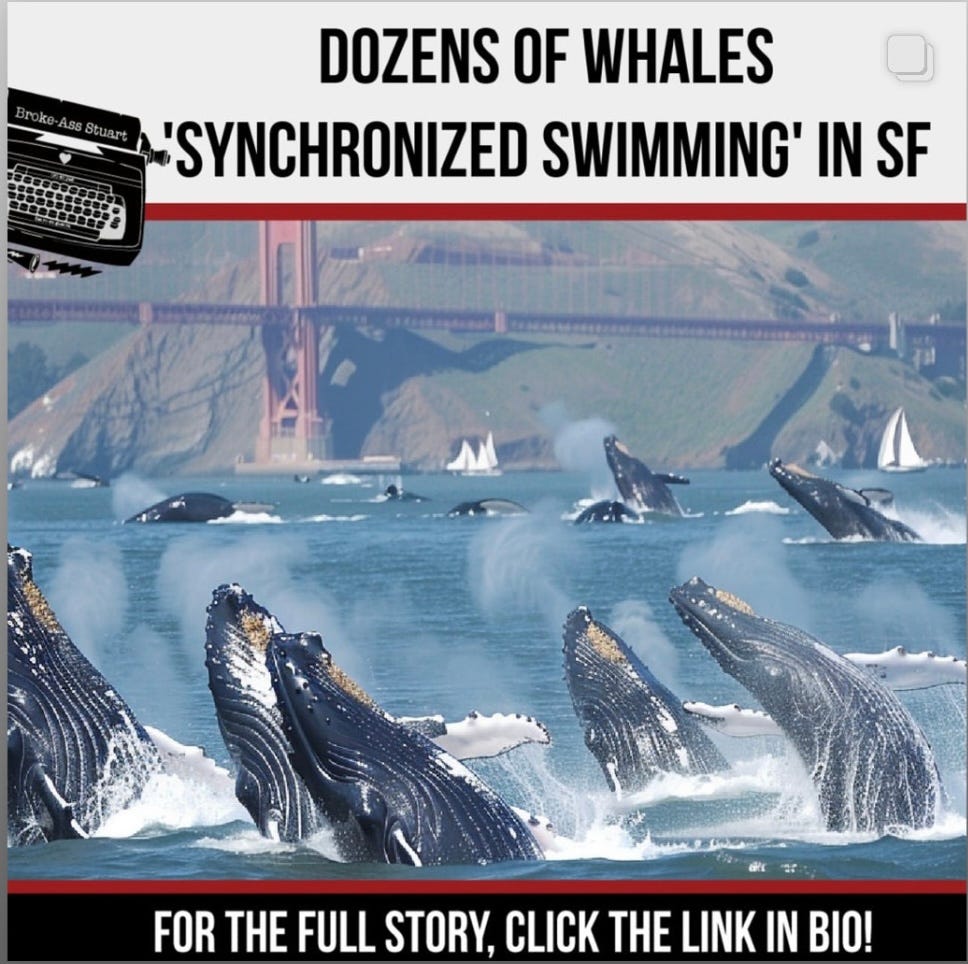 An April Fool - Adventures in Being Human by Jackie Knapp