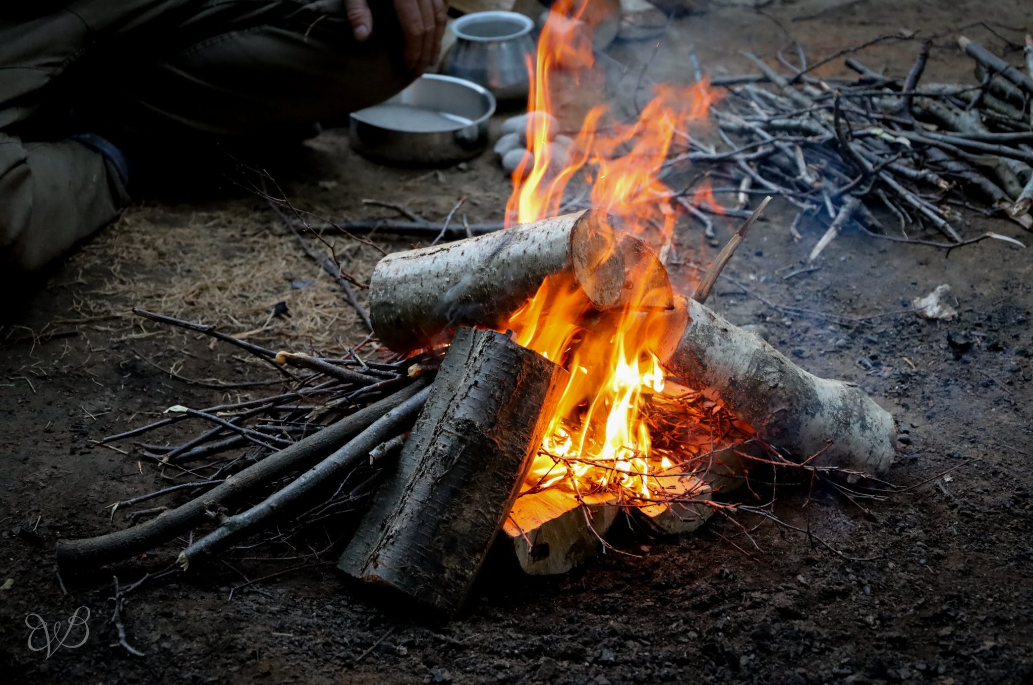 Turn off your devices, Spring is coming. - by Jonathon Huet