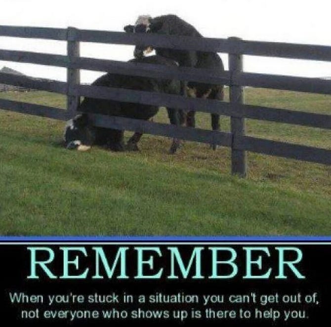 Memes for the Team - Gallows Humor Magazine