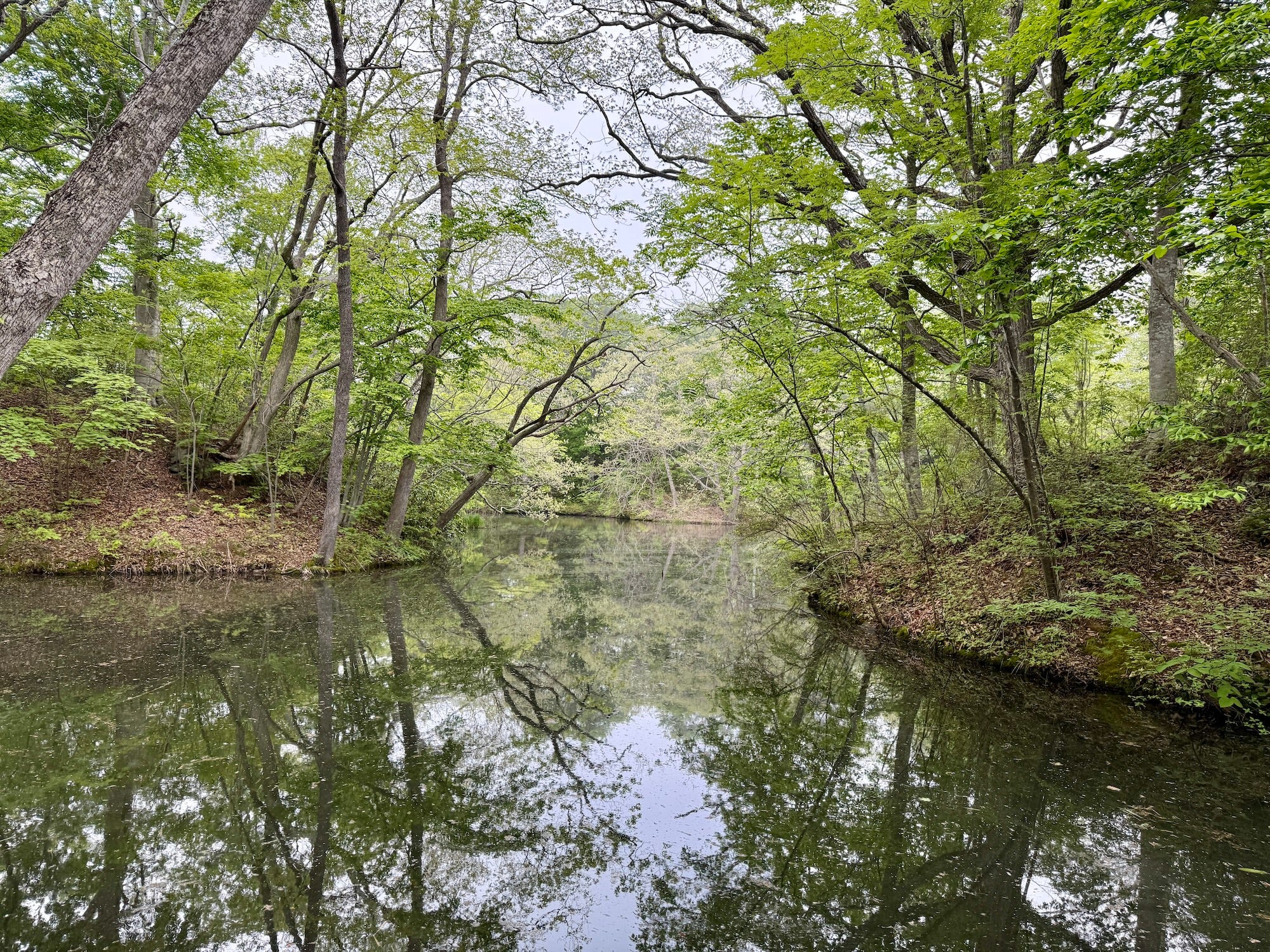 Hakodate, Japan and Onuma National Park - by Bo Mackison