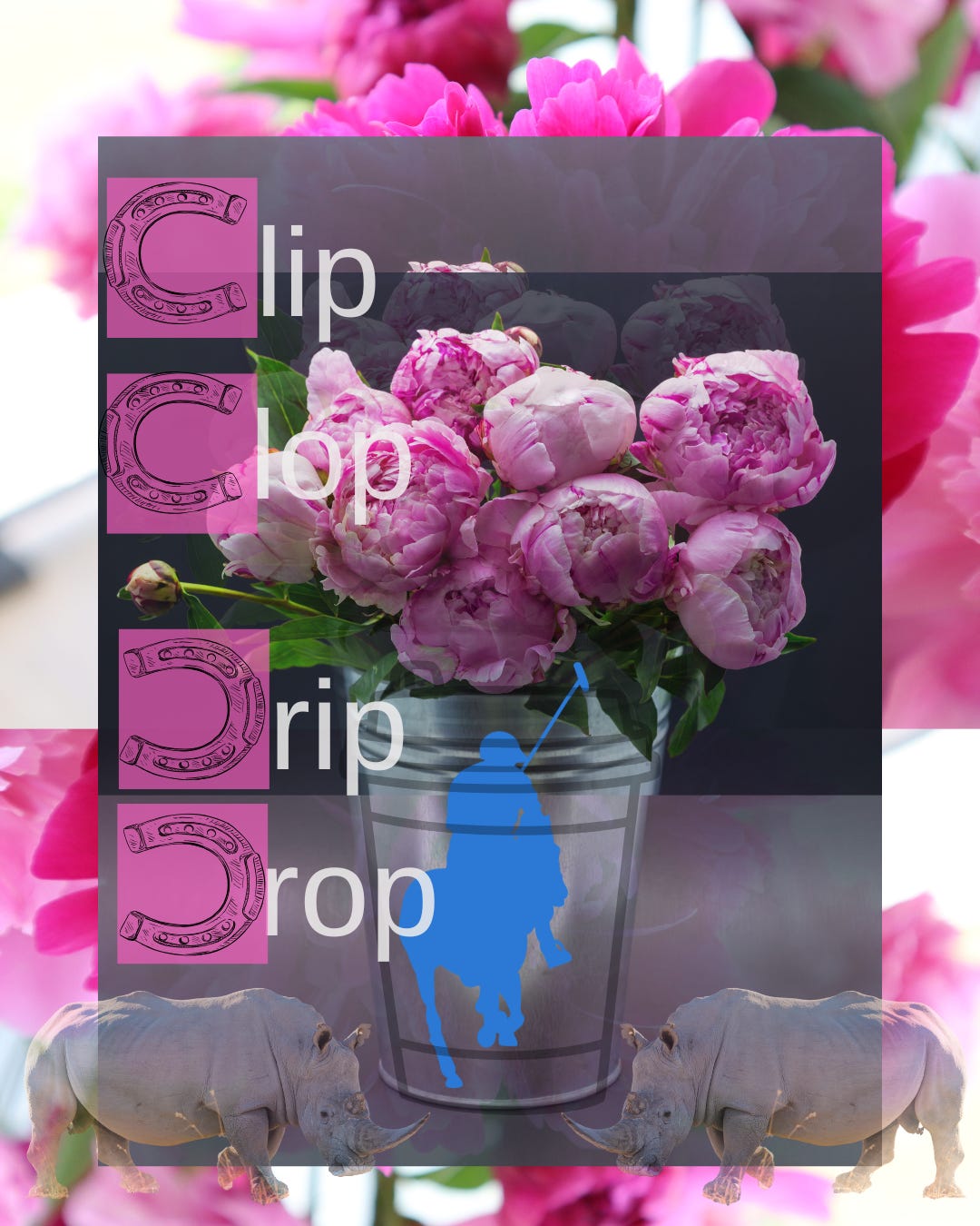 Pachyderm - Olop Downs Substack