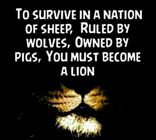 Grim Post-Election 2024 Scenario - by John Houk