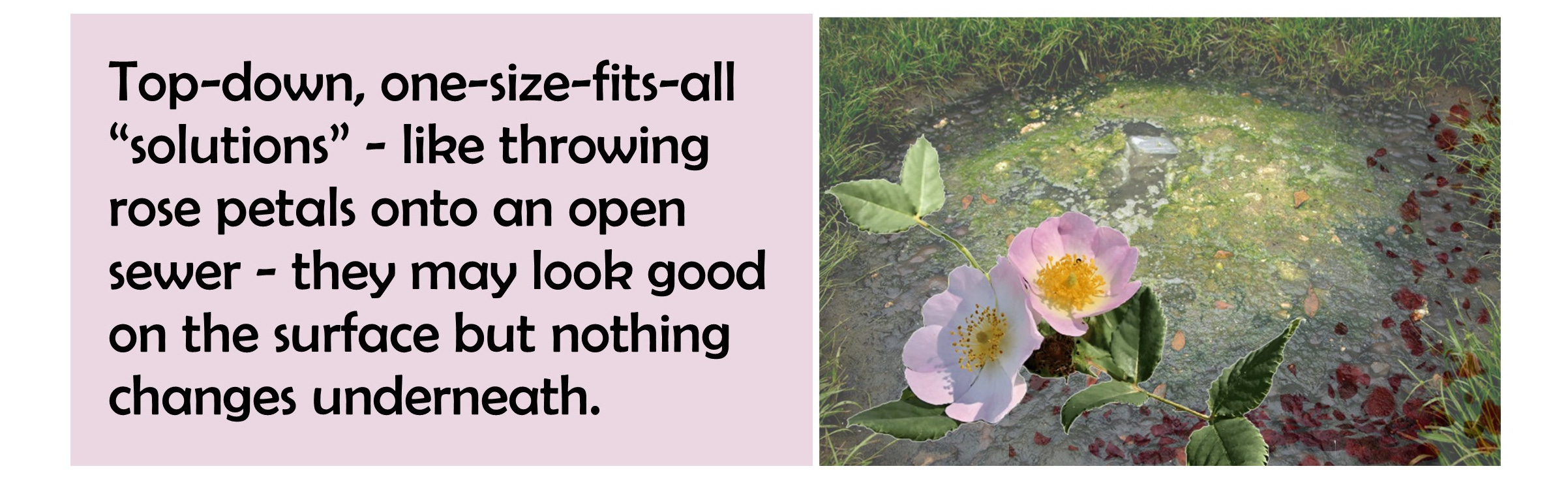 Am I Crazy...? Bob Neville - Biography - by Bob Neville