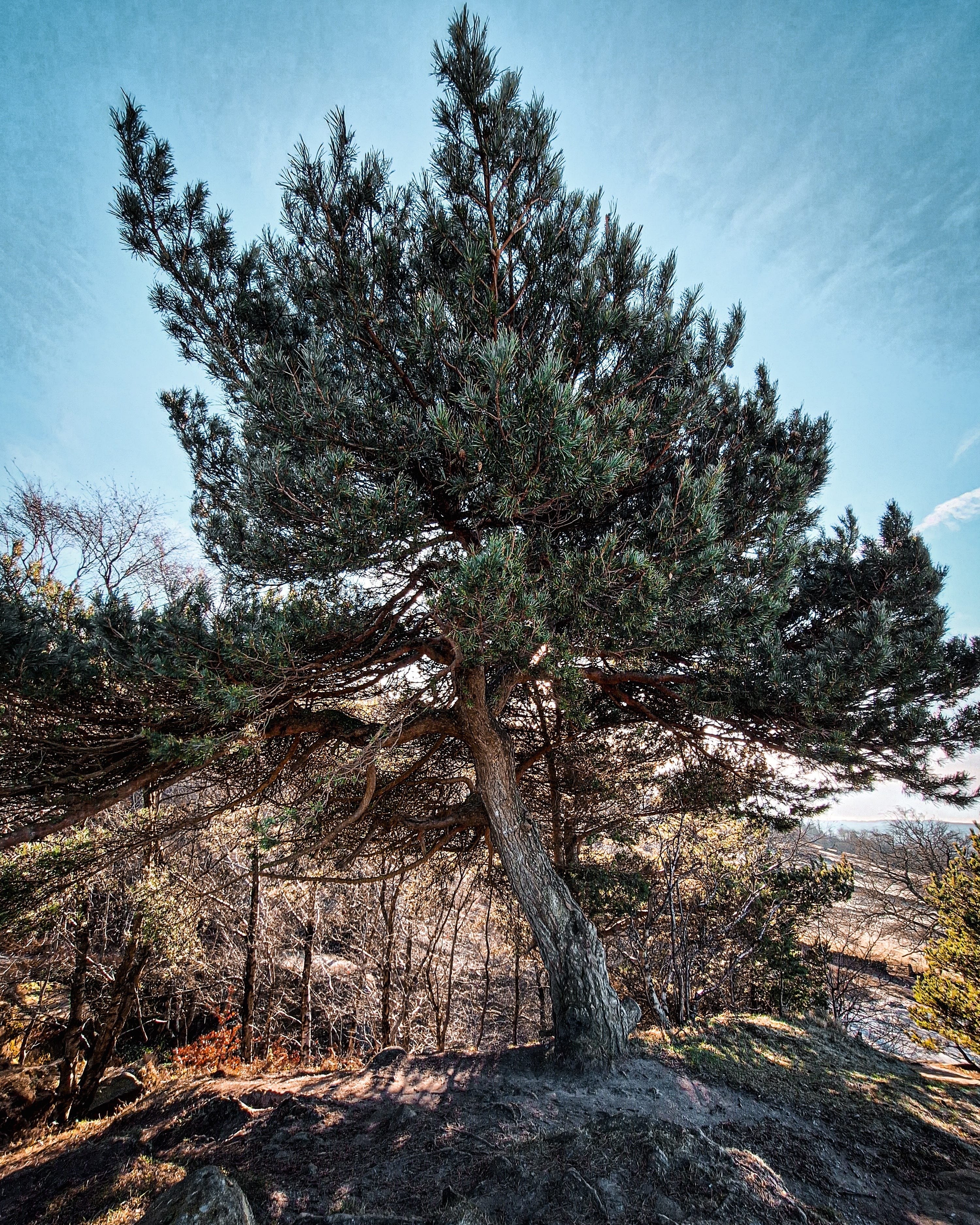 January's Nature Finds - by Kayleigh - Wild Paths