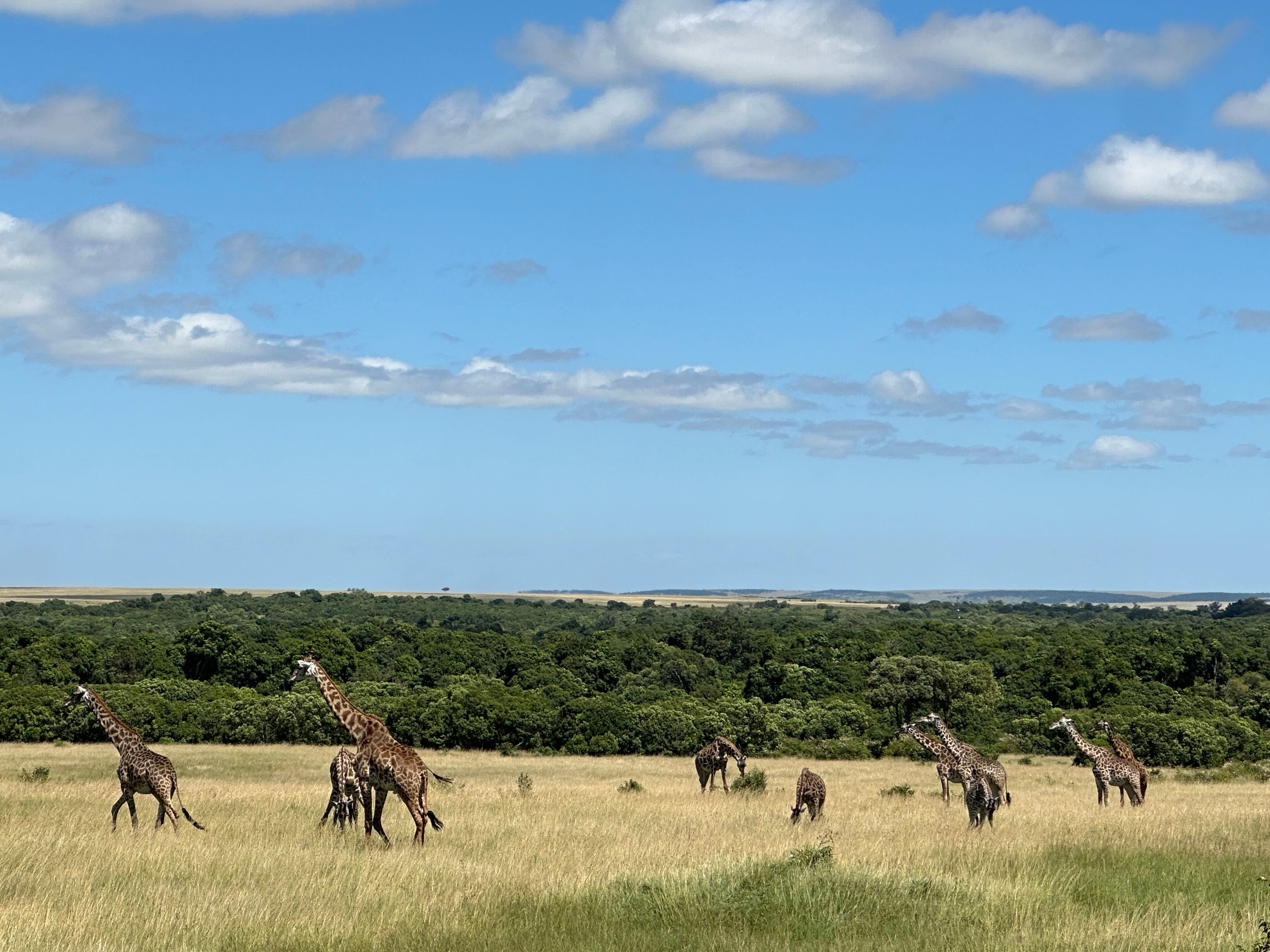 Moon over the Mara - by Tamara Conrad - The Camino Capers