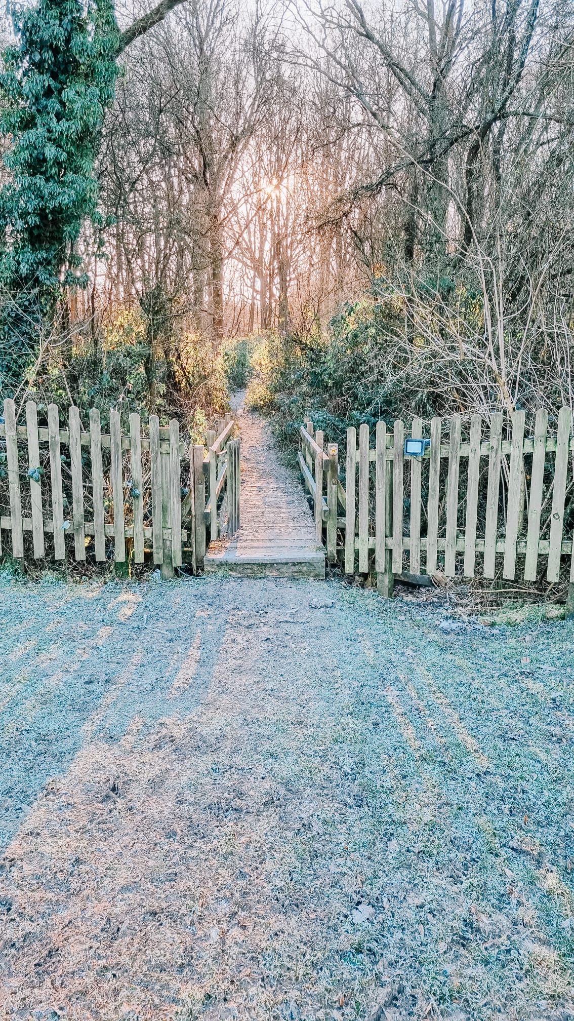 Mindful Practices for Slowing Down and Finding Stillness in Winter