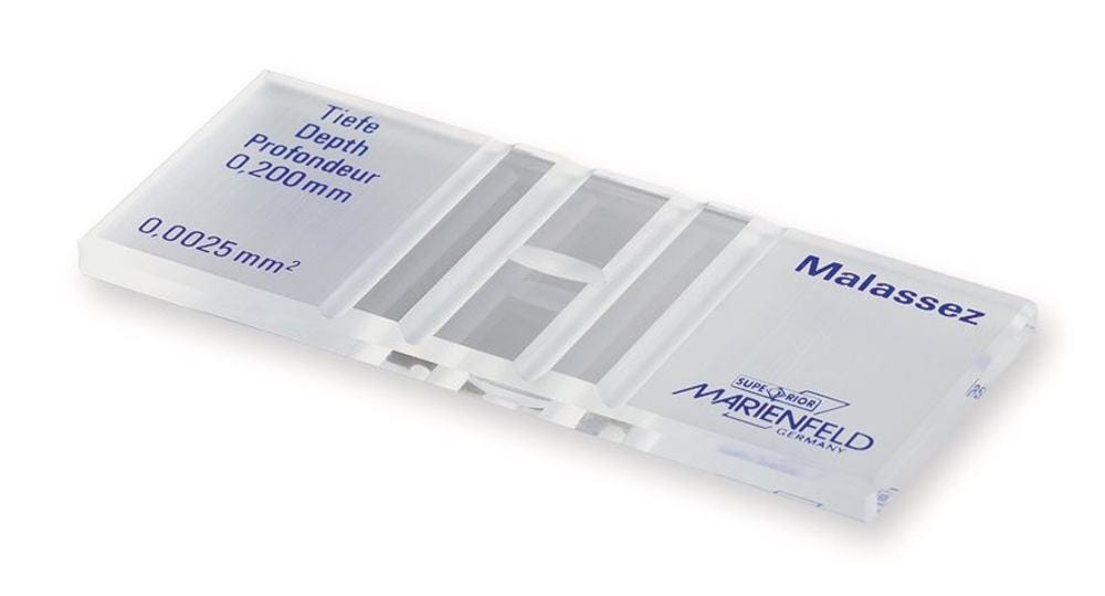 Le comptage cellulaire - by Louise - CultureBio