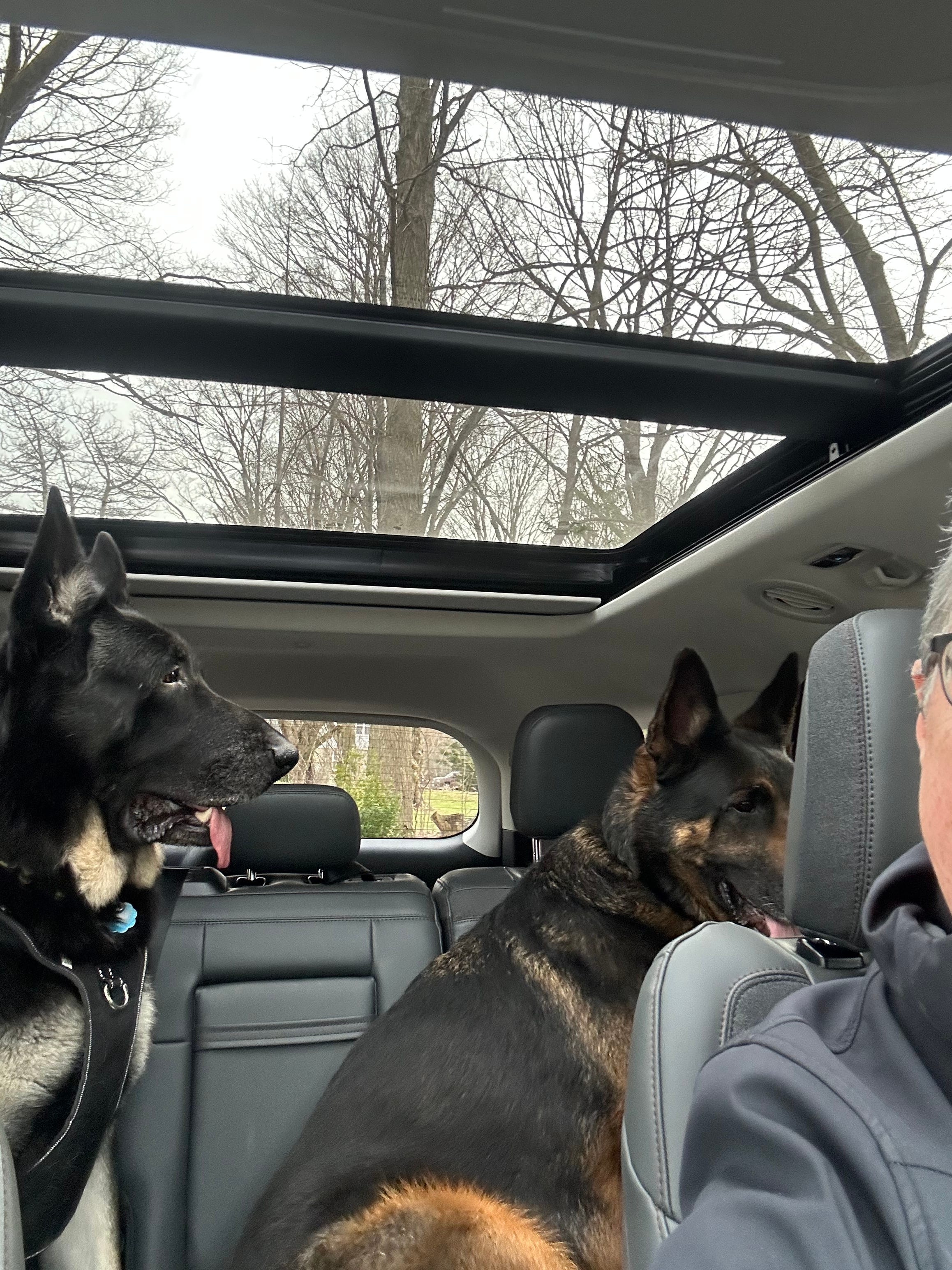 Denver Riggleman & Amy McGrath: Truth in the Barrel