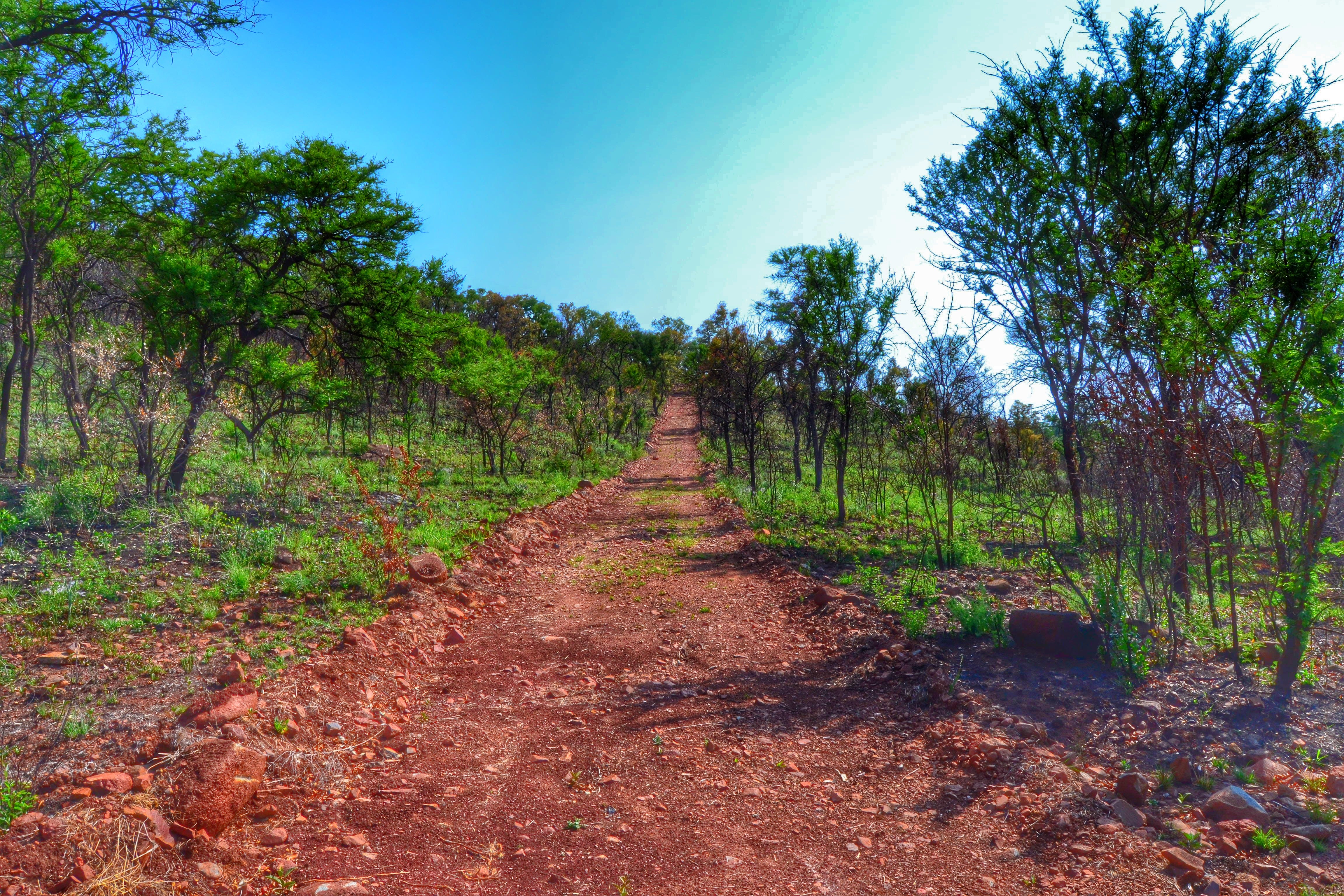 Too late... - by Rea de Miranda - Rea’s Substack