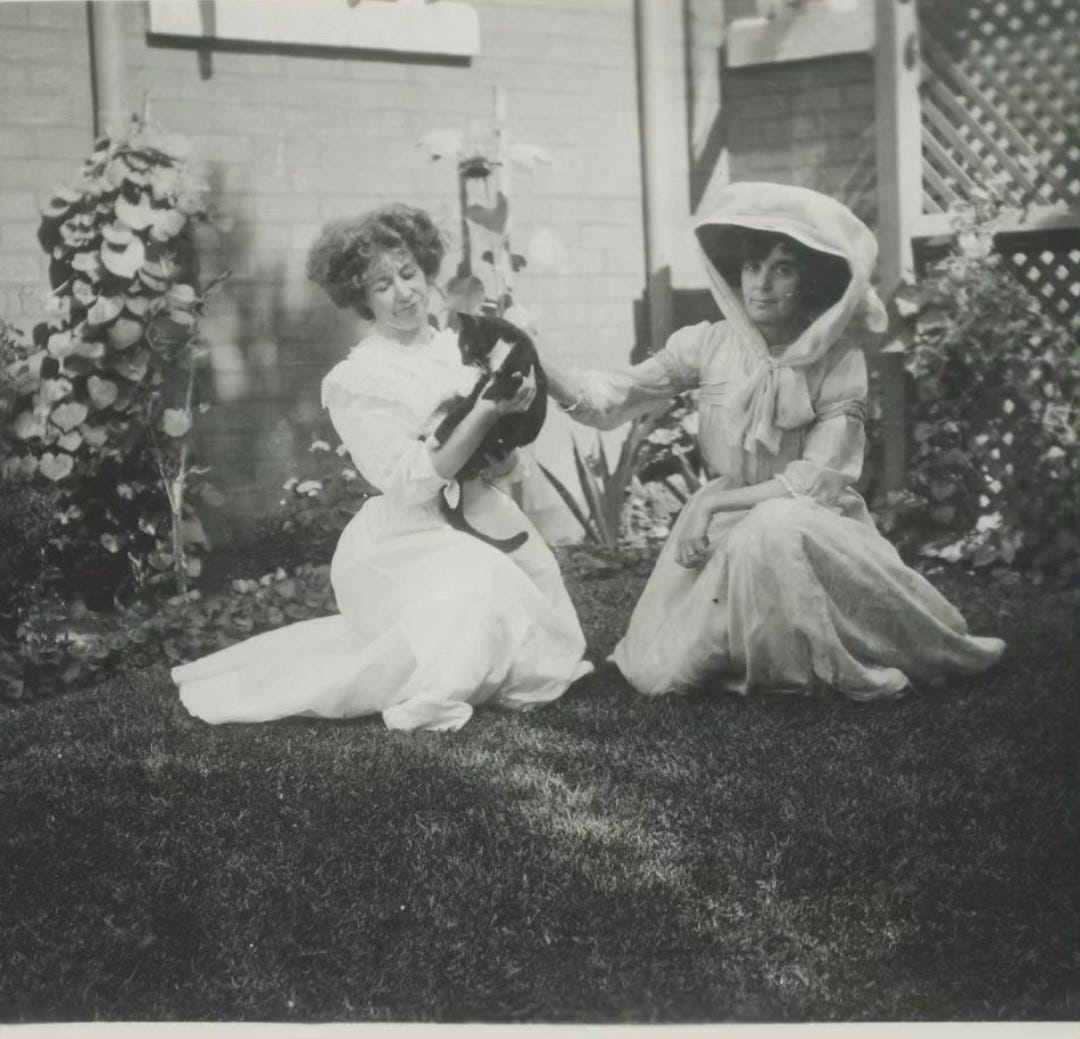 Hello dear reader! - by Cat Historian - Cat’s Substack