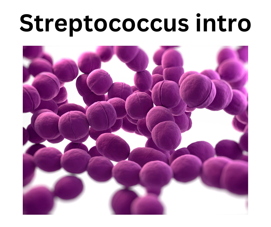 Post streptococcal infections - Introduction