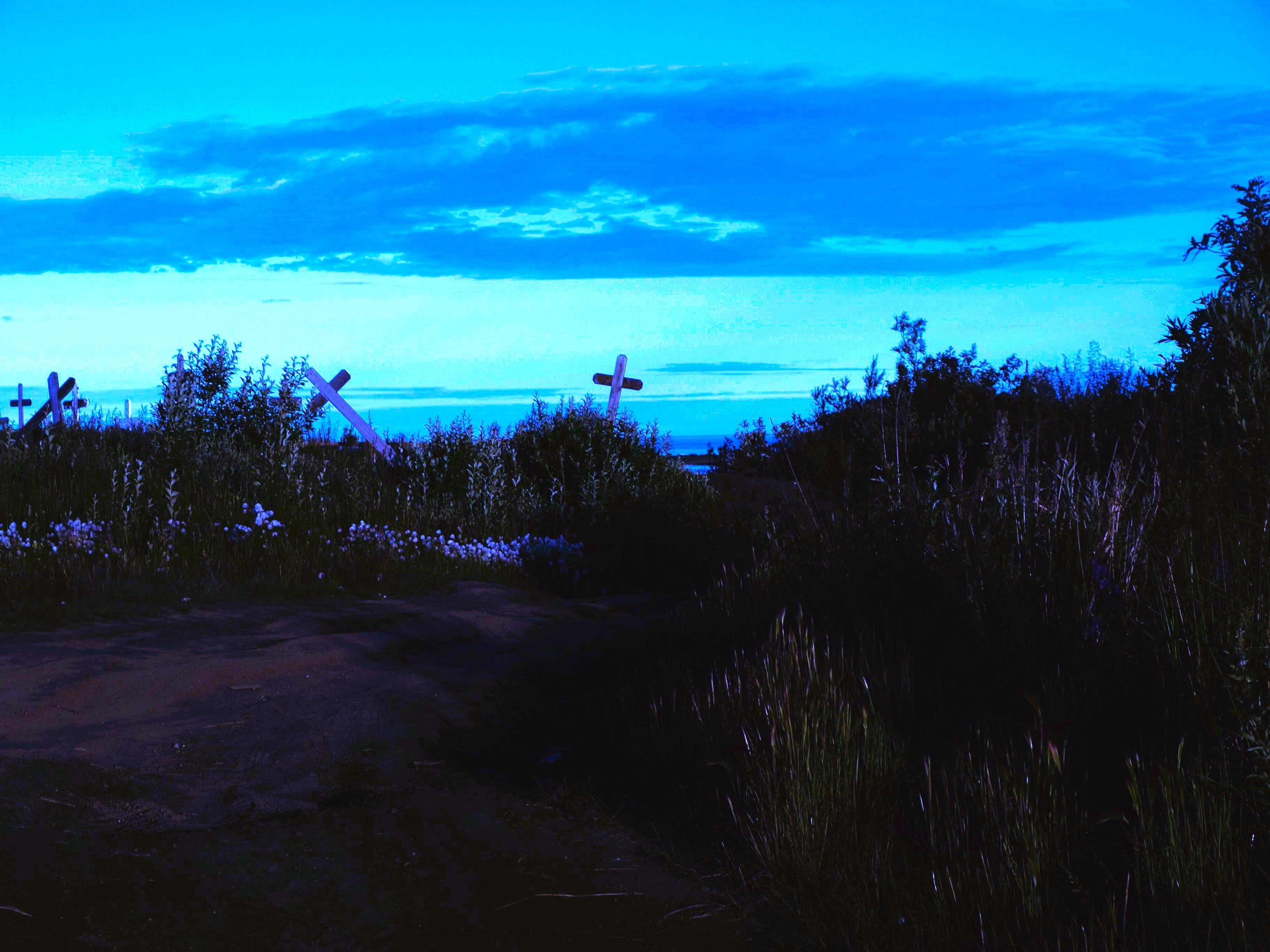 Cross-Tundra Traffic - by mike fabey