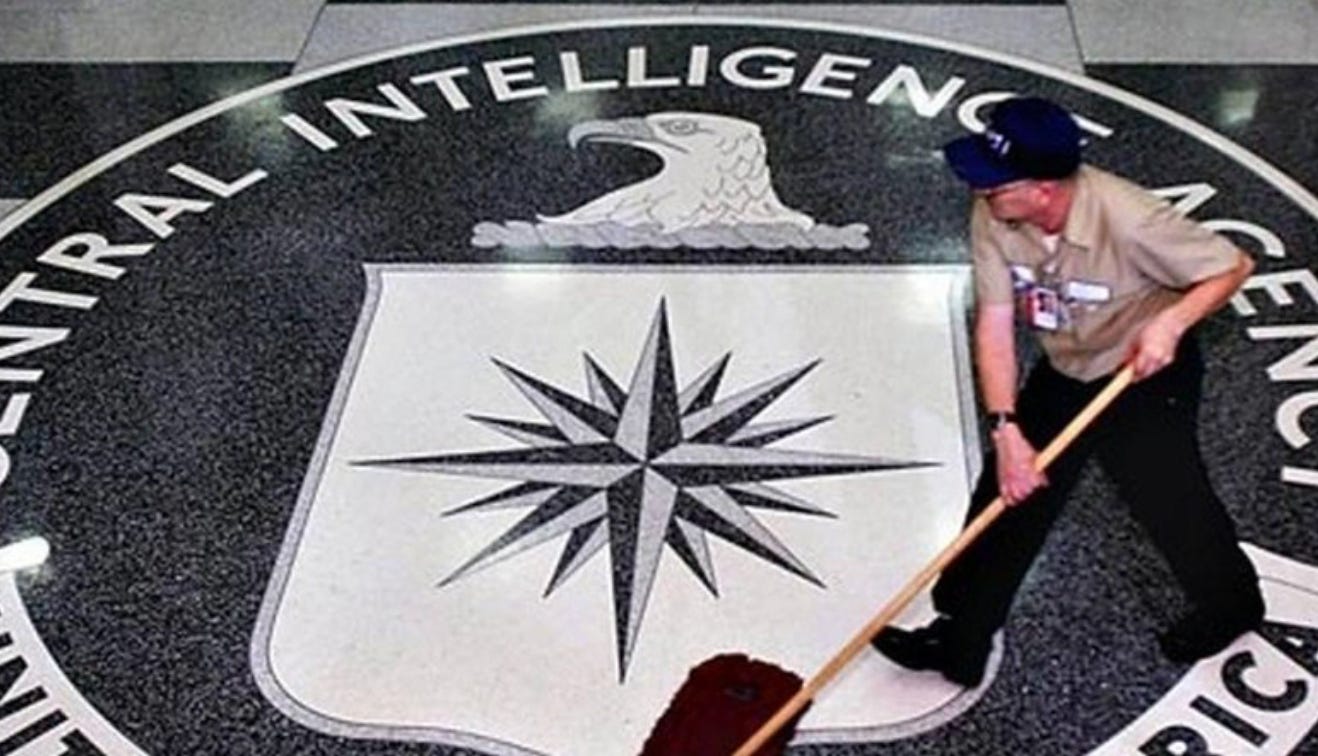 The CIA Versus the Deep State - by Arthur Bloom