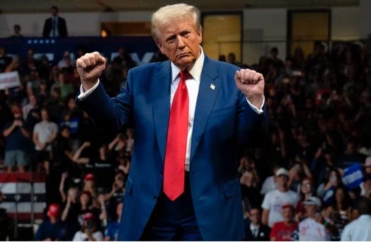 Voting for America - The Warning with Steve Schmidt