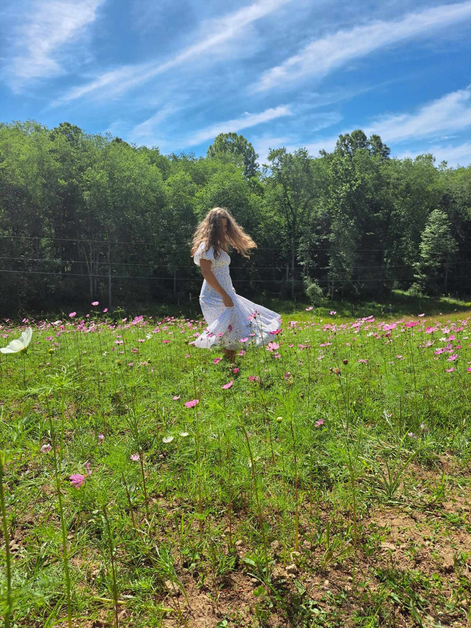 a farewell letter to what once was - K.Lynn's Substack