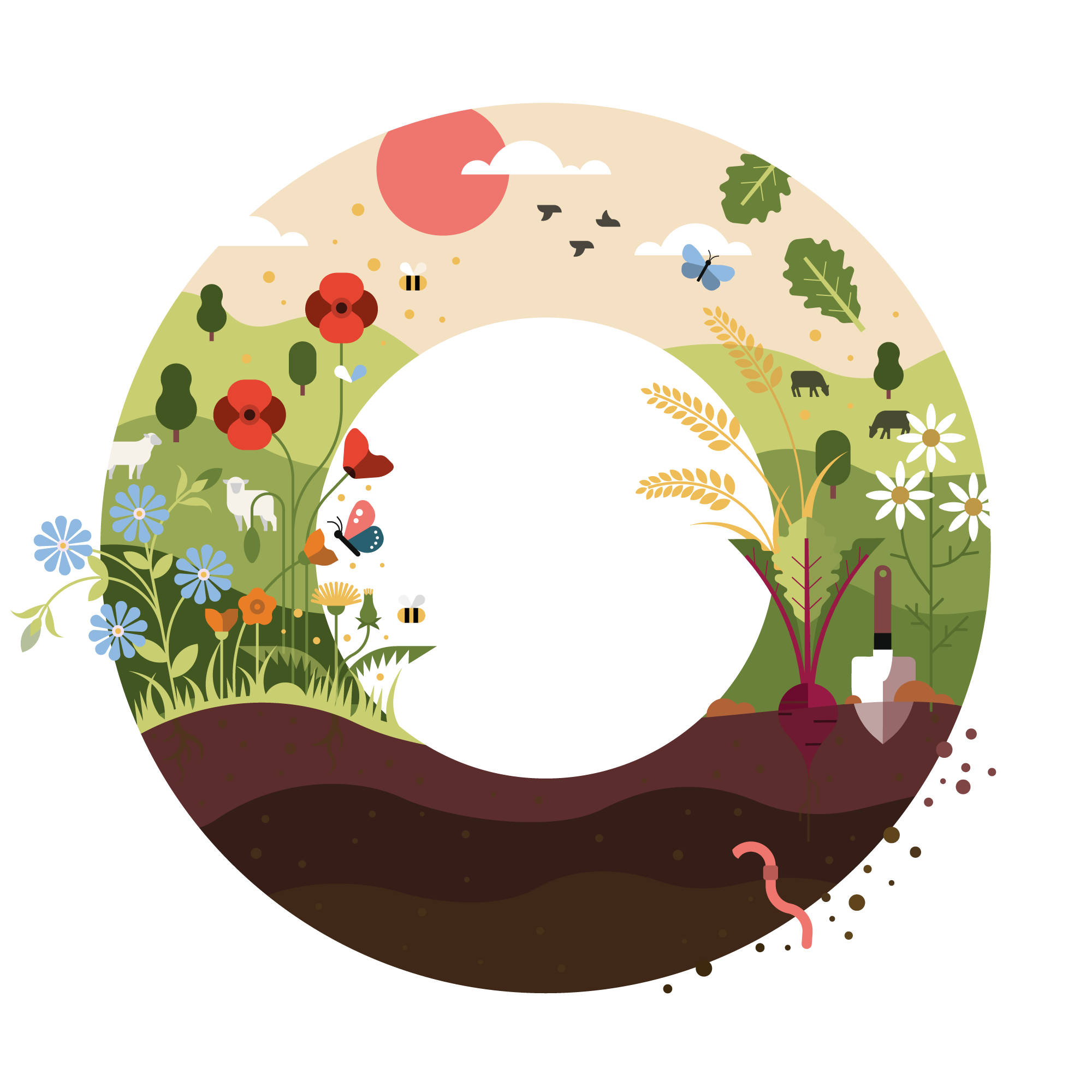 Circling back to the soil - by Ed Harrison - The Slow Boat