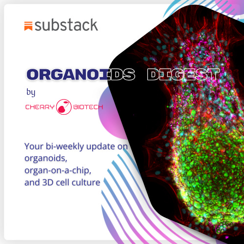 Starving cancer with organoids - OD #2 - by Cherry Biotech