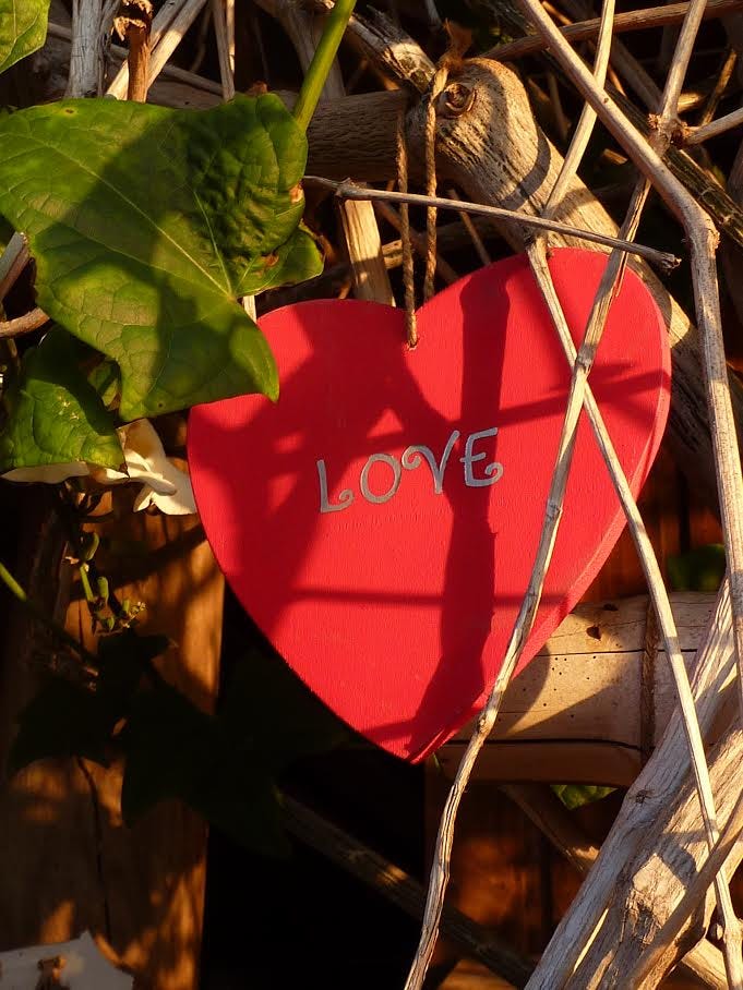 A Dance Of Love And Letting Go By Lila Danielle