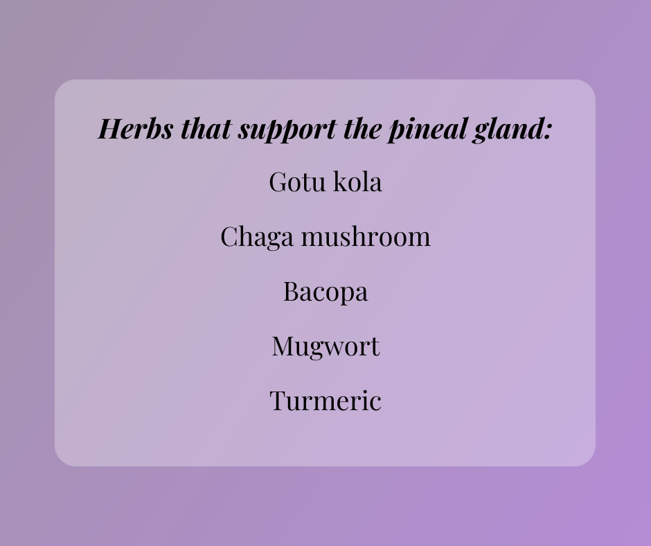 The Pineal Gland: What It Is, How It Functions, and Herbs That Support It
