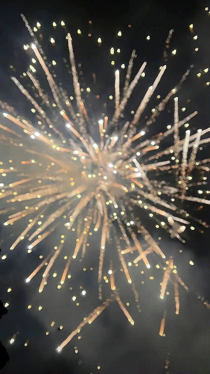 A 2024 Recap & Reflection - by Avila Dauvin - étude brutè?